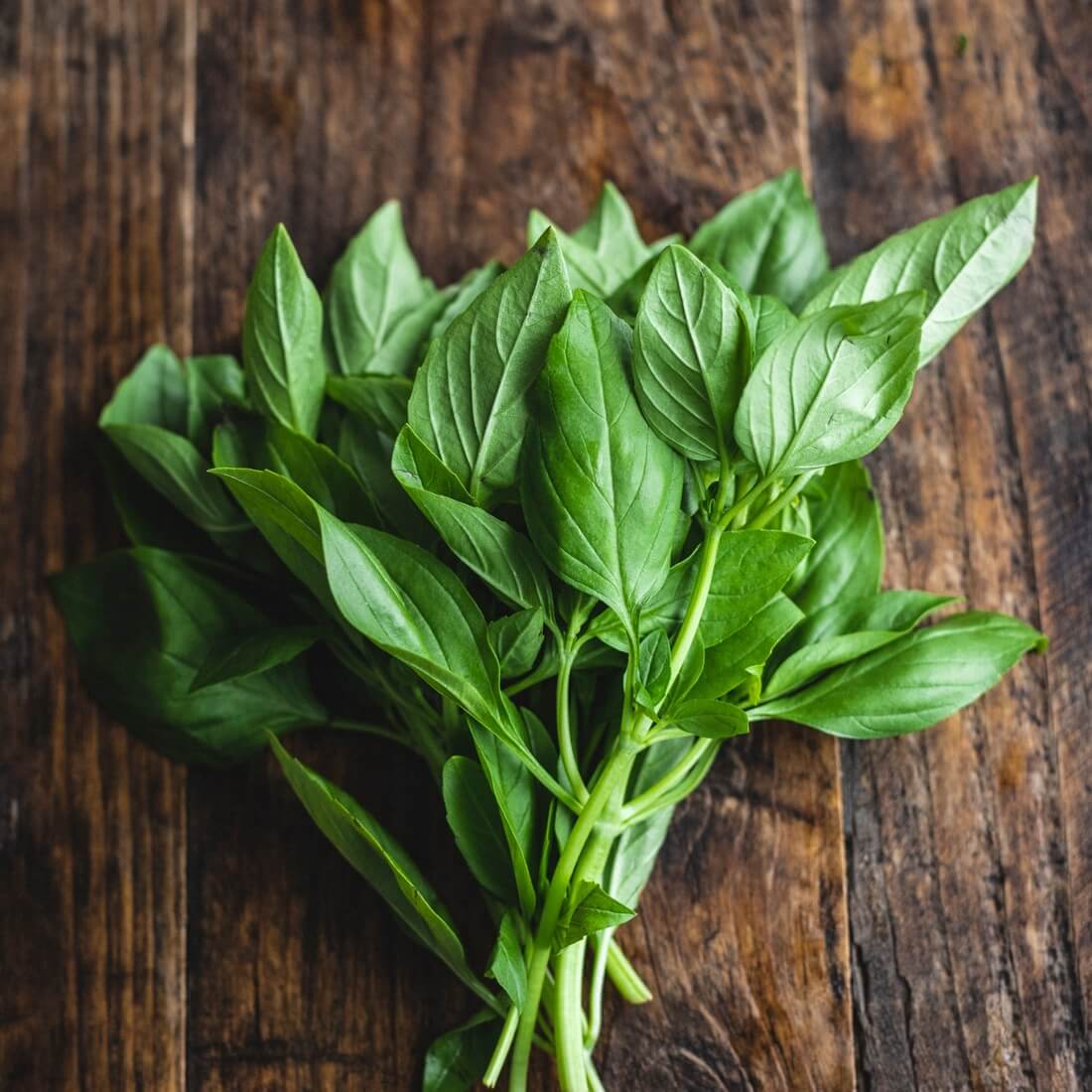Organic Basil 40g / Riverford