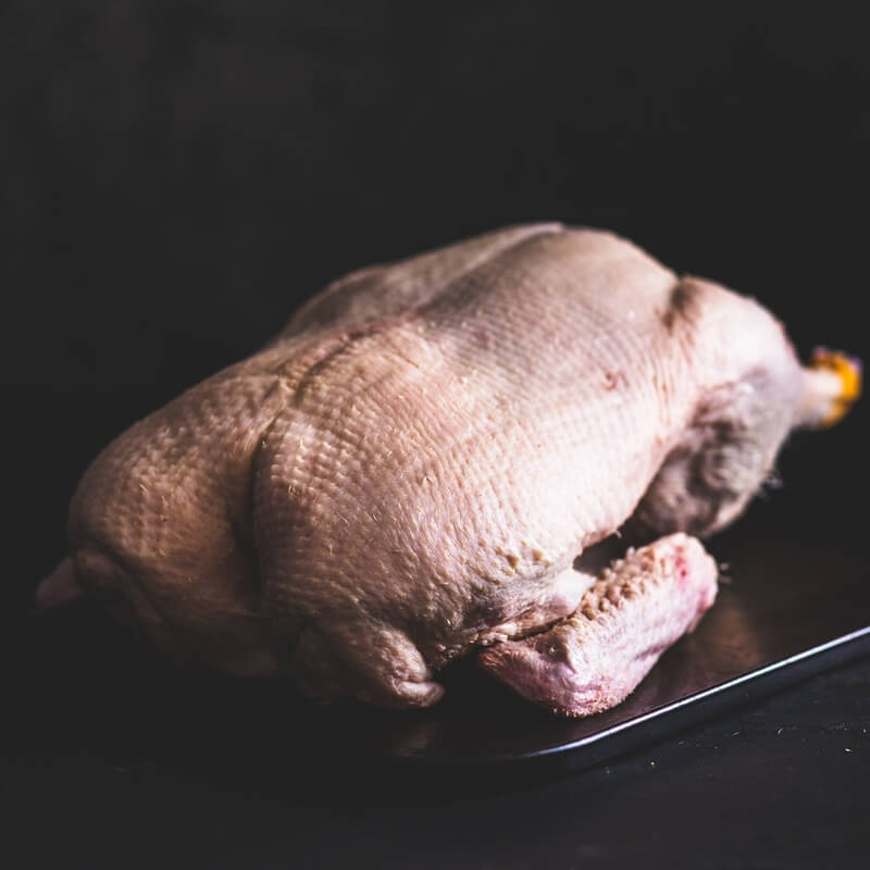 Organic Whole duck 2.3kg / Riverford
