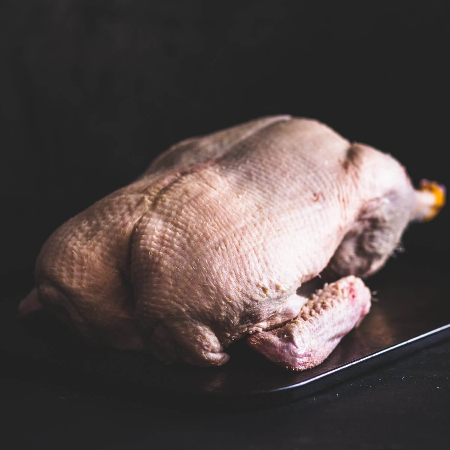 Organic Whole duck 2.3kg / Riverford