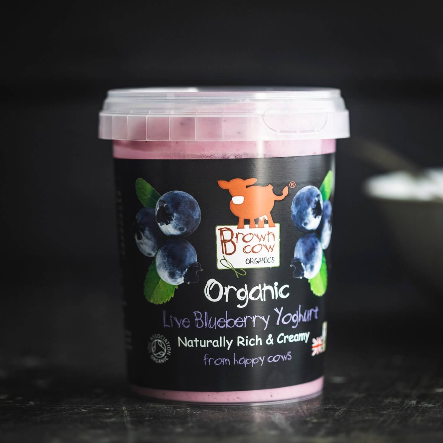 Organic Brown Cow Organics blueberry yoghurt 450g / Riverford