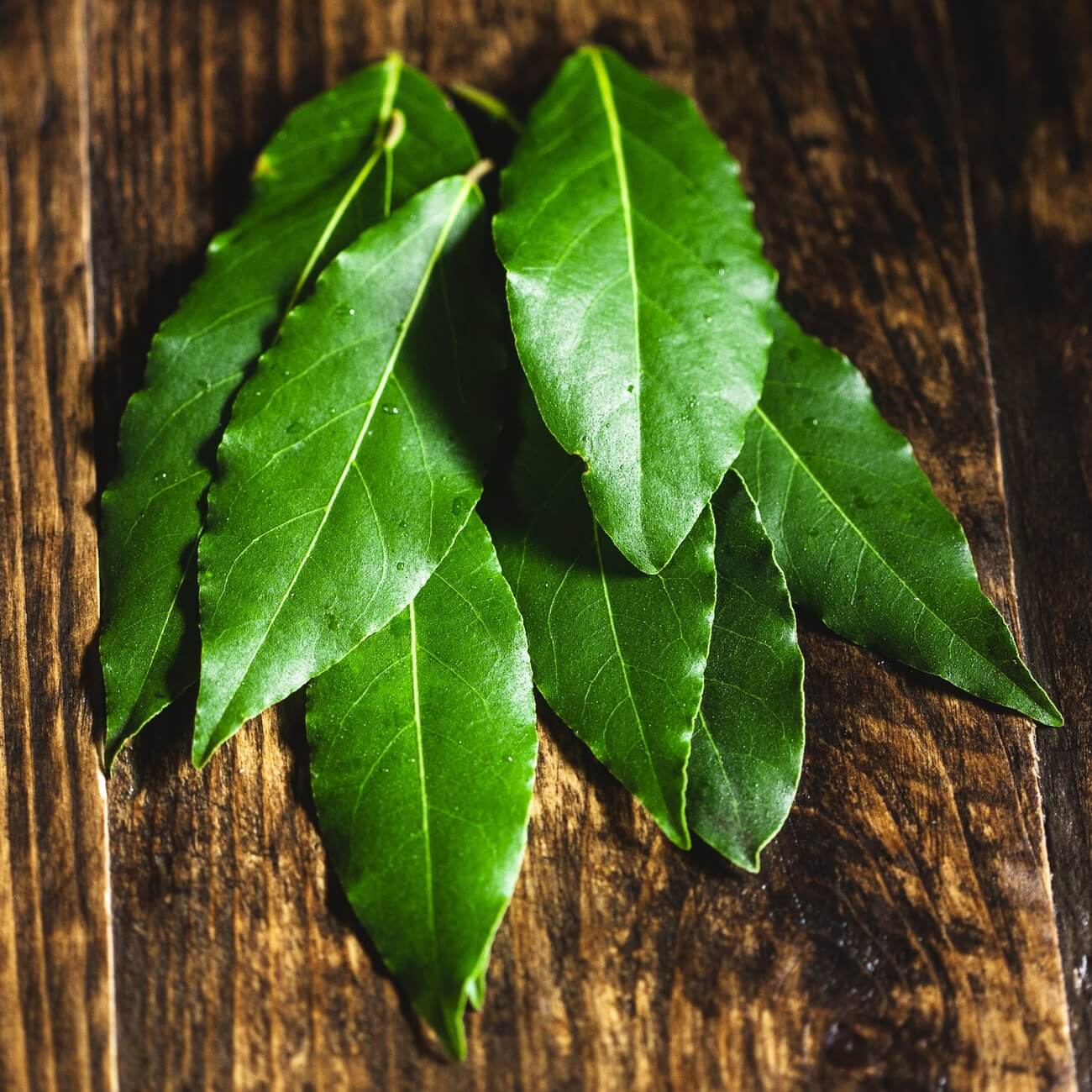 Organic Bay leaves x10 / Riverford
