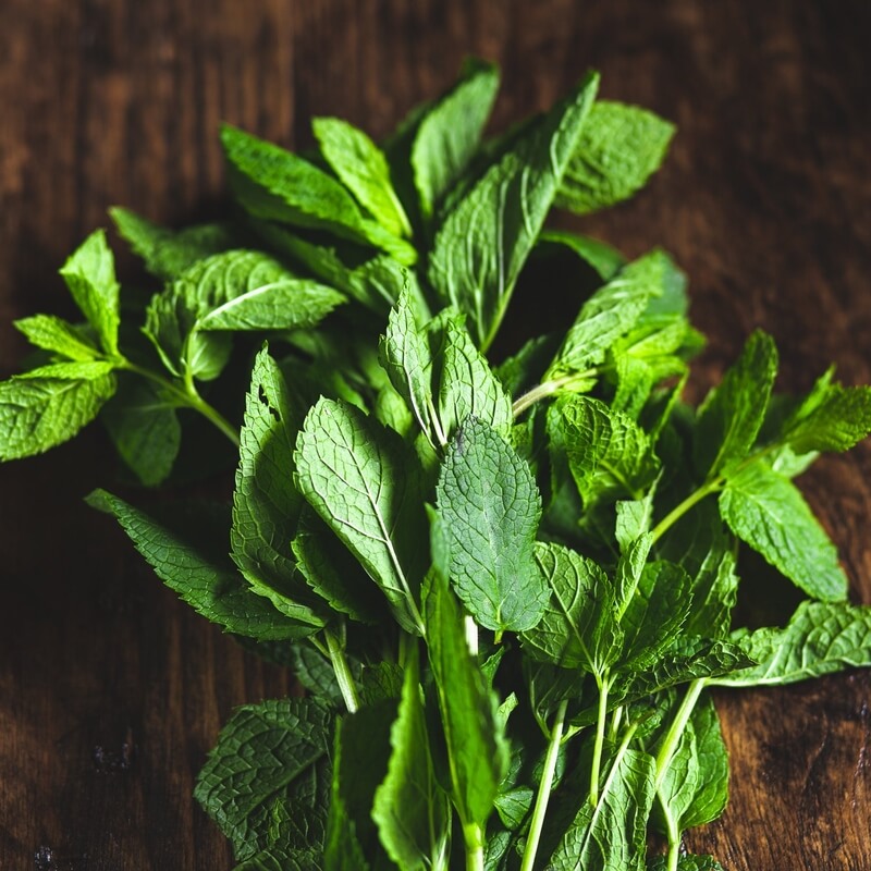 Organic Mint 30g / Riverford