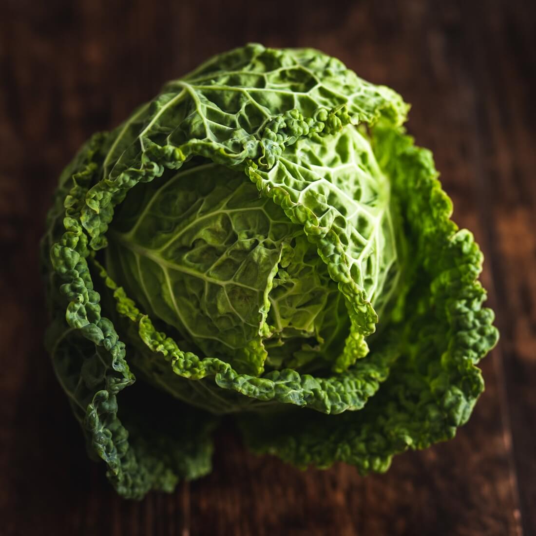 Organic Savoy cabbage x1 / Riverford