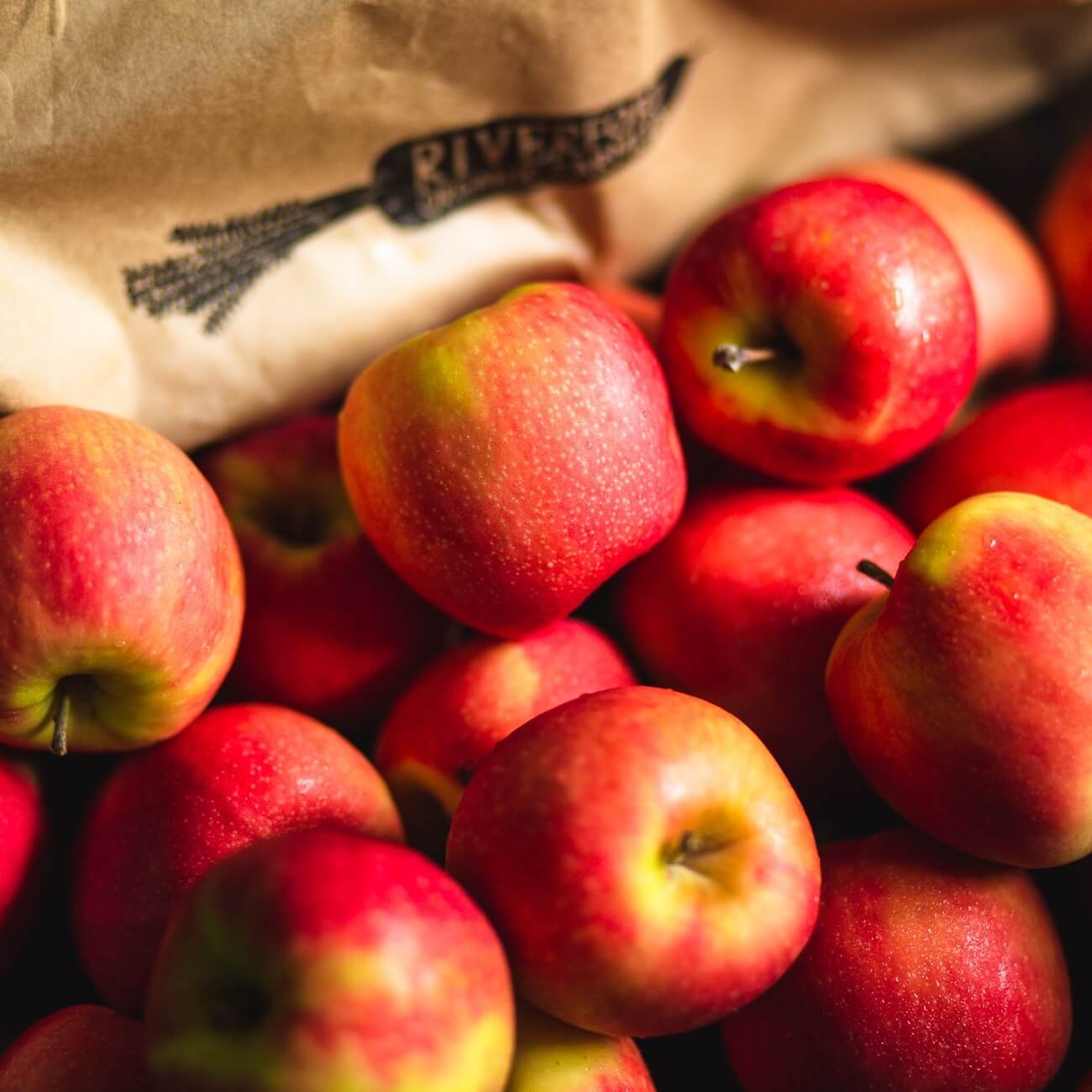 Organic Juicing apples 3kg / Riverford