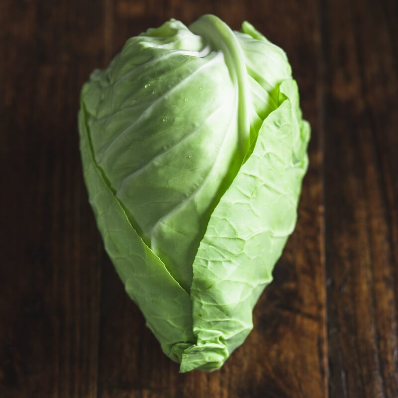 Organic Pointed cabbage x1 / Riverford