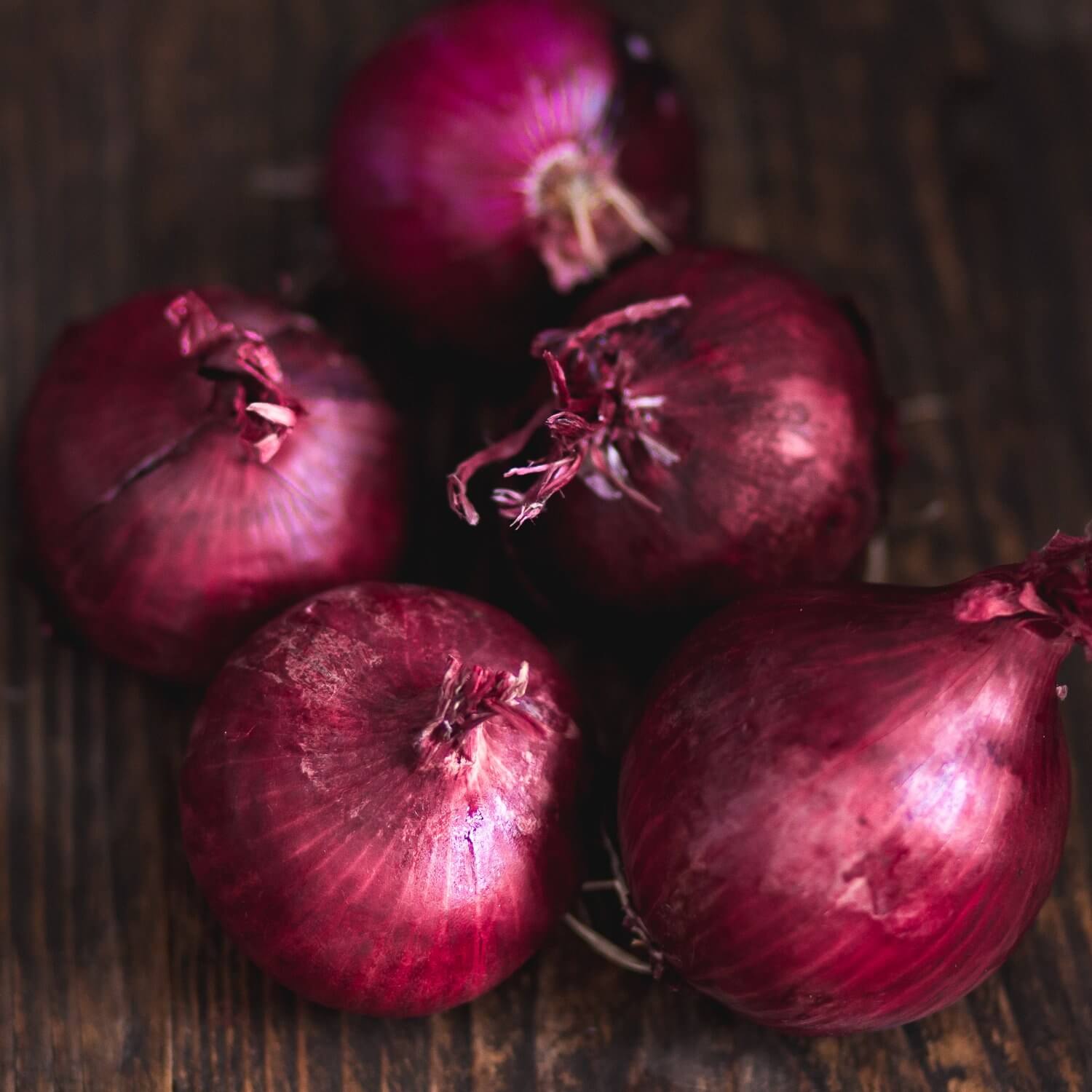 Organic Red onions 500g / Riverford