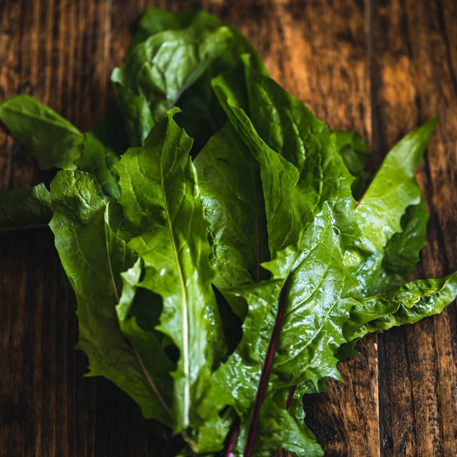 Organic Dandelion leaves 80g / Riverford