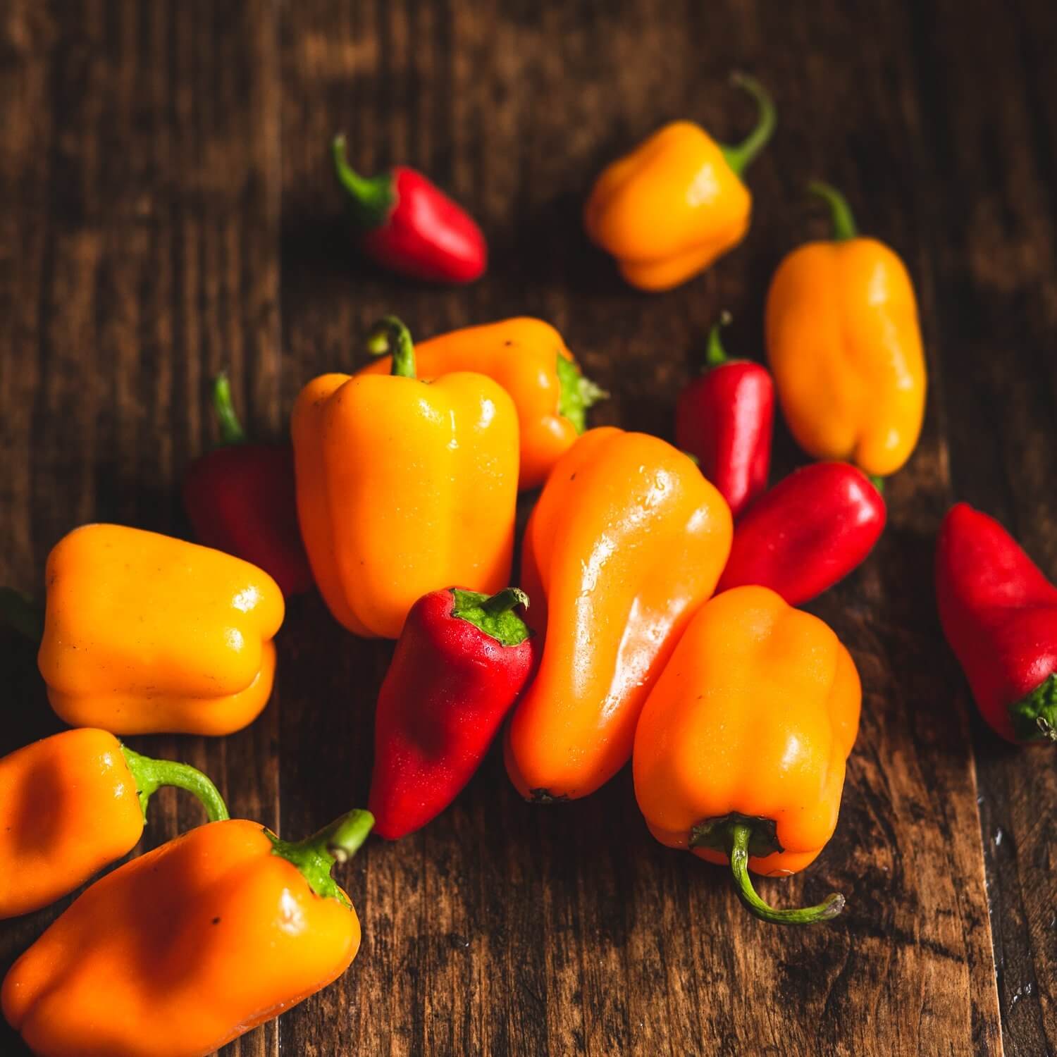 Organic Sweet mixed peppers 250g / Riverford