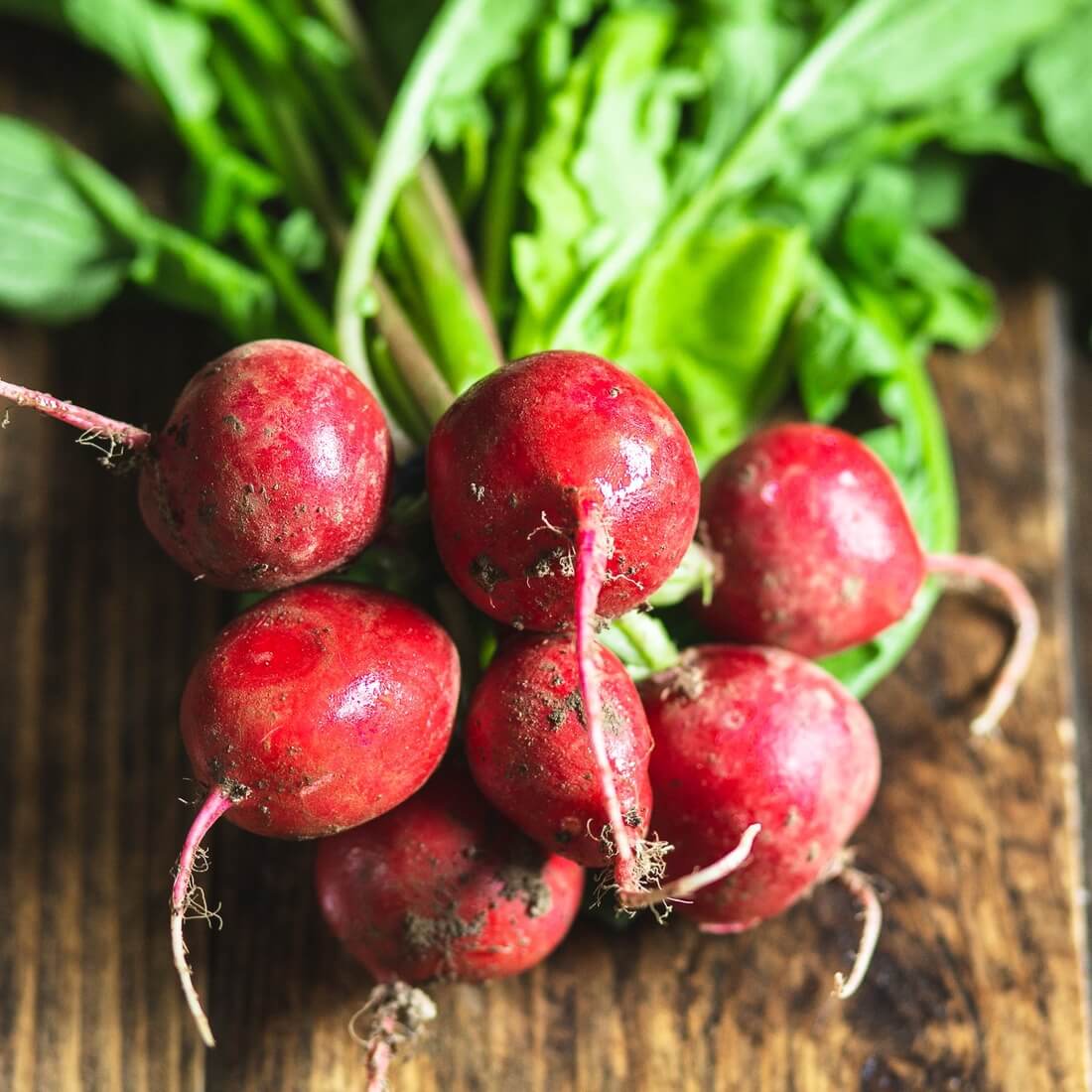 Organic Bunched radish / Riverford
