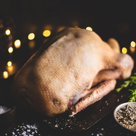 Organic Goose - large (feeds 5-6) 4.5kg / Riverford