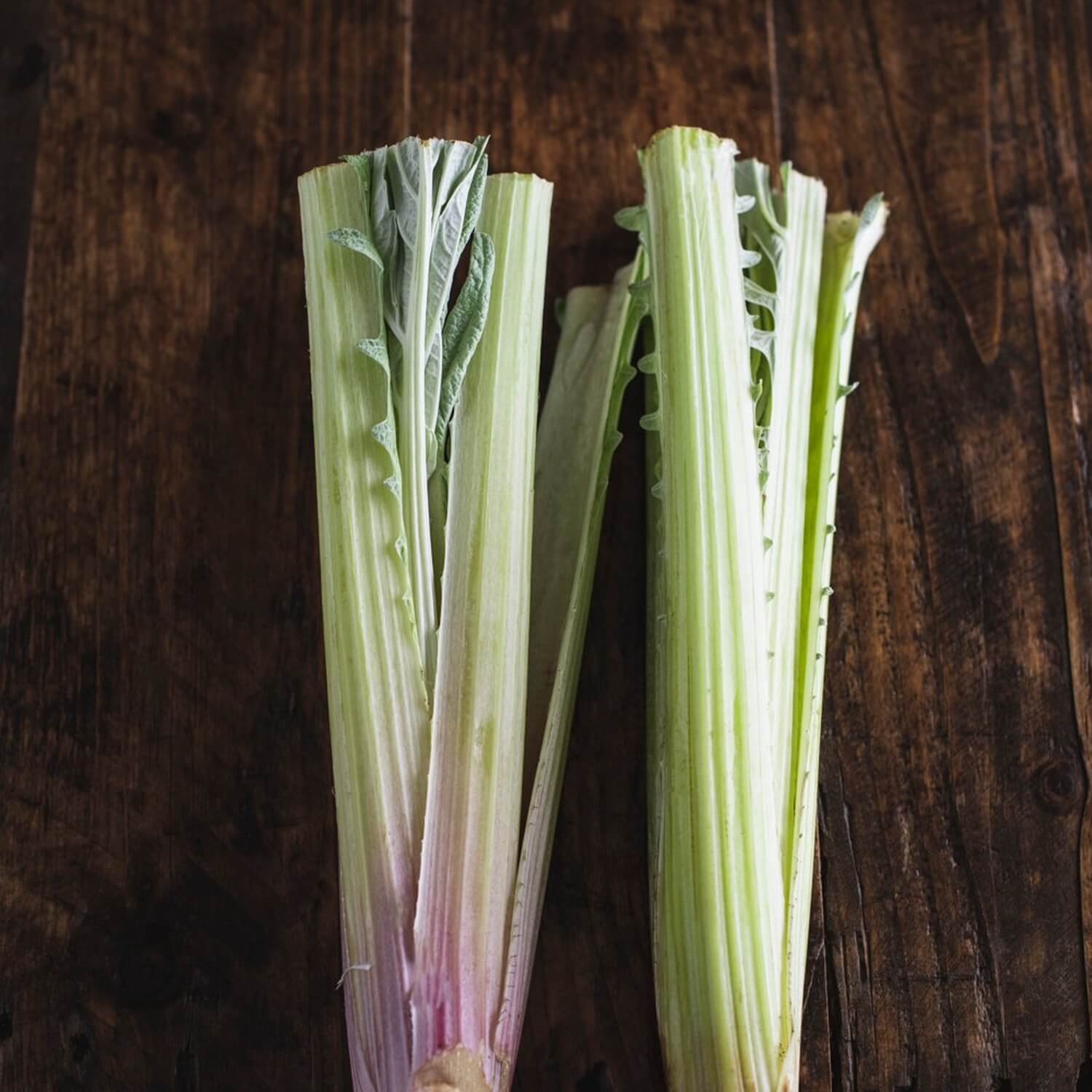 Organic Cardoons 500g / Riverford