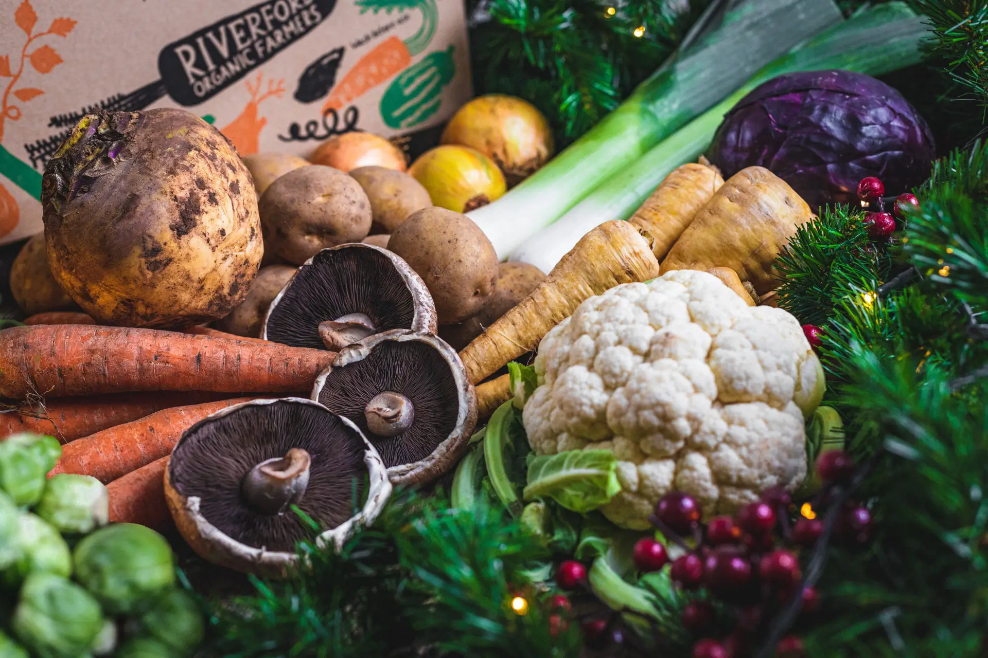 Riverford Organic Farmers - Organic Fruit & Veg Box Delivery