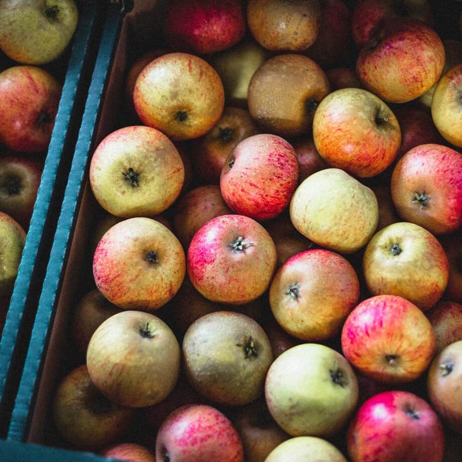 Organic Apples 750g / Riverford