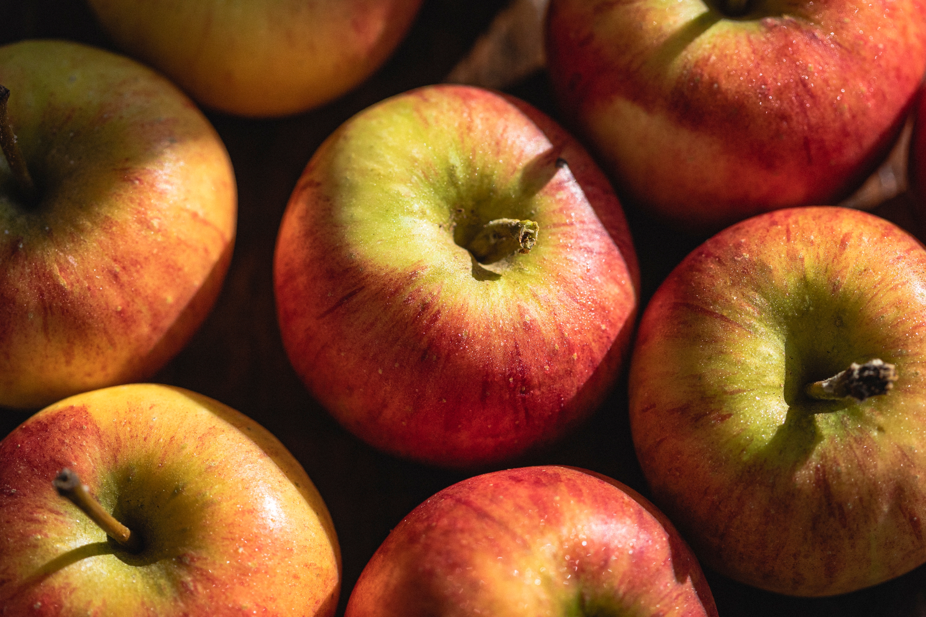 Organic Pinova apples 750g / Riverford