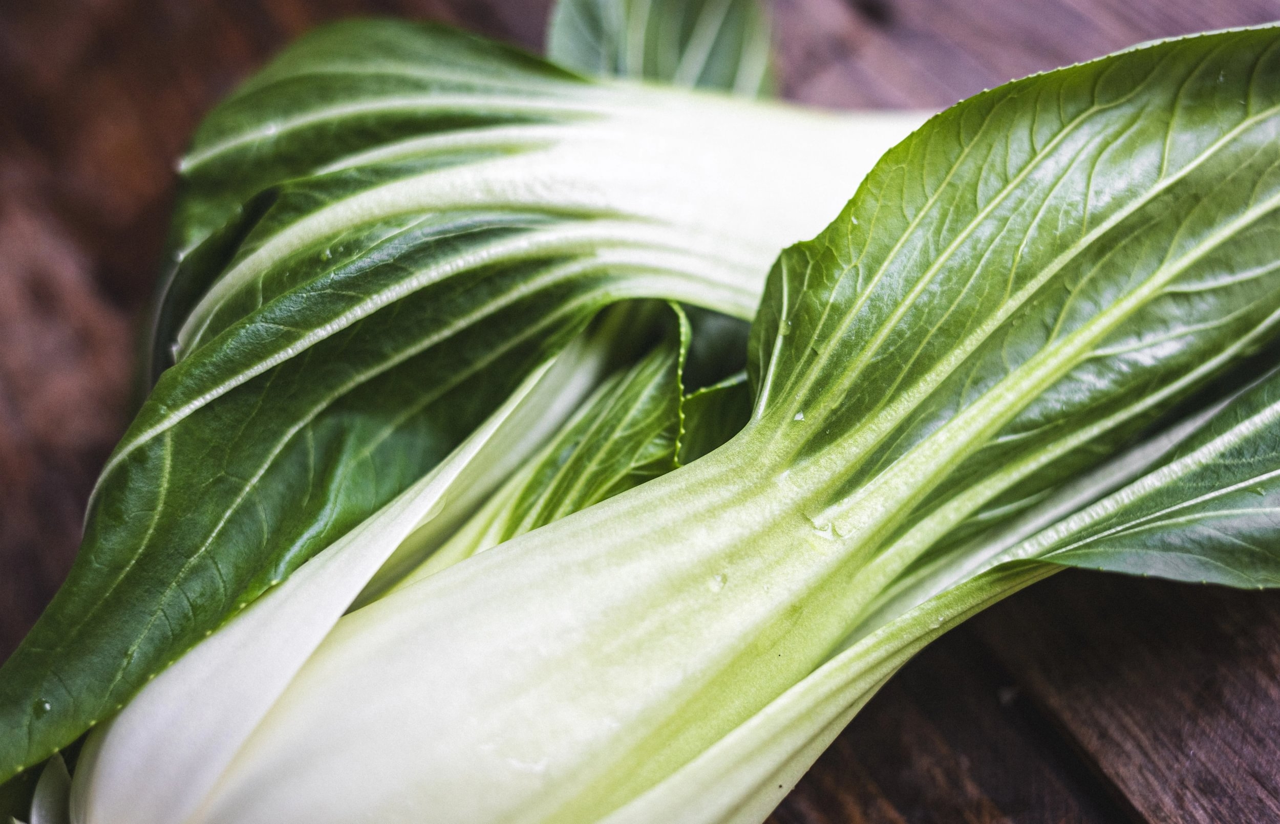 Organic Baby bok choi x1 / Riverford