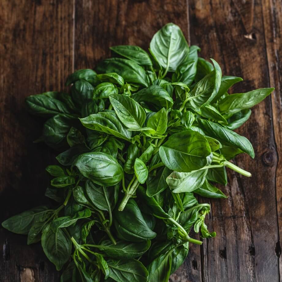Organic Basil 200g / Riverford
