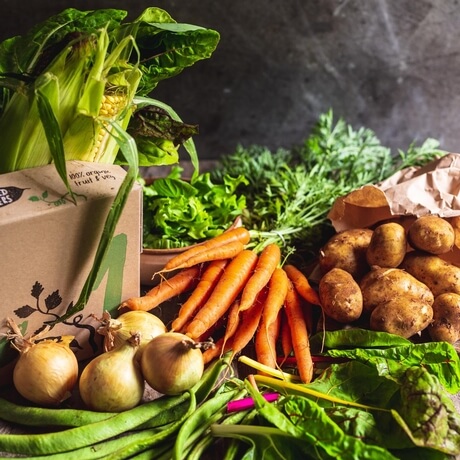 Award winning seasonal veg boxes / Riverford