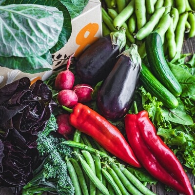 Organic Seasonal organic fruit & veg box – large / Riverford