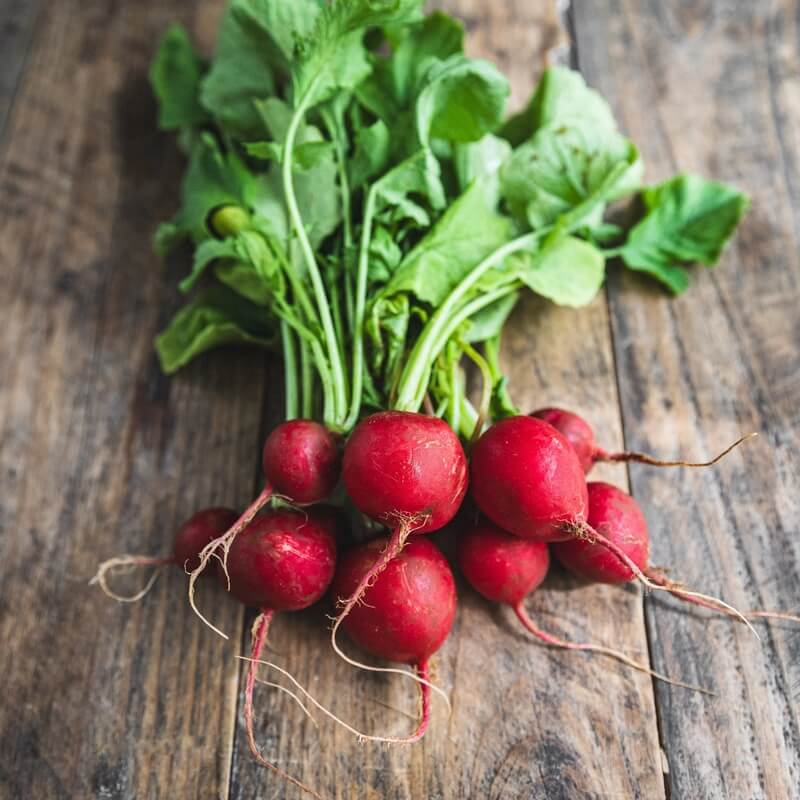 Organic Bunched radish x1 / Riverford