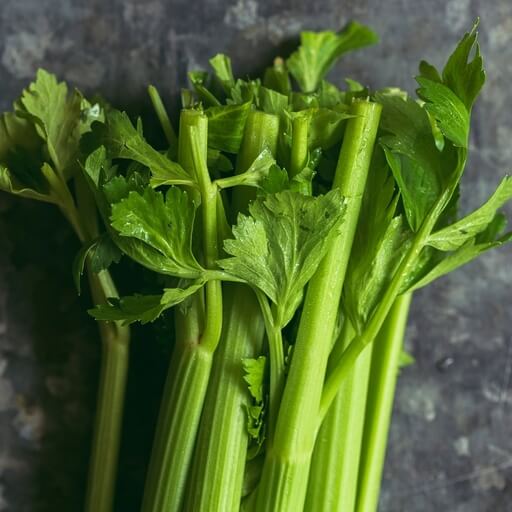 Organic Celery / Riverford
