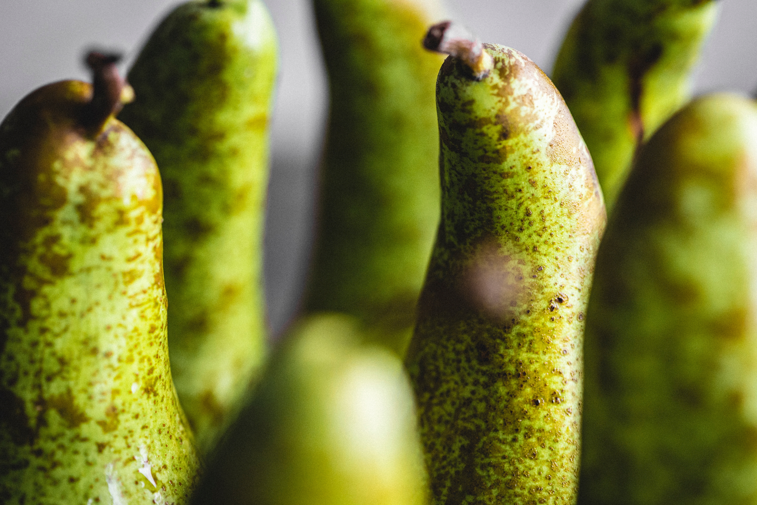 Organic Conference pears 750g / Riverford