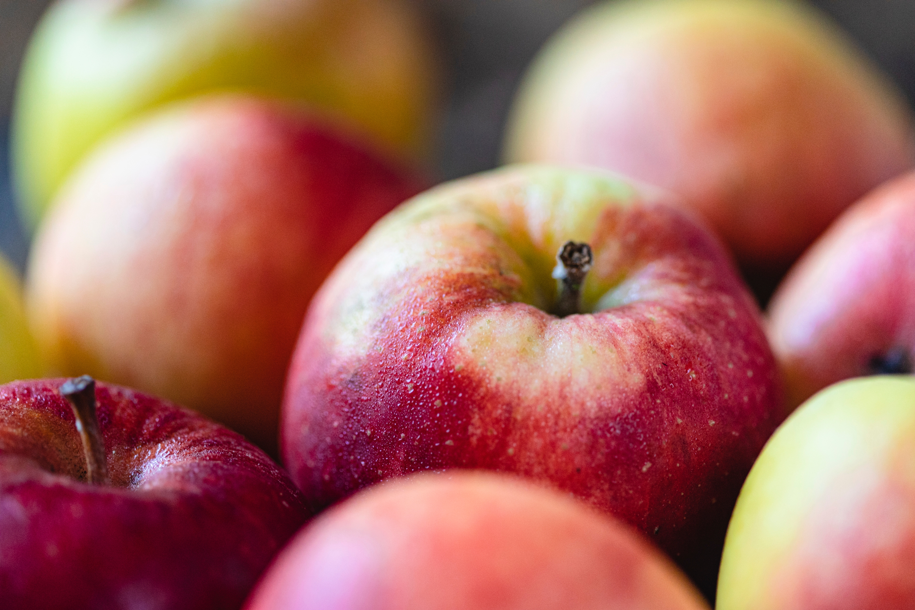 Organic Cox apples 750g / Riverford