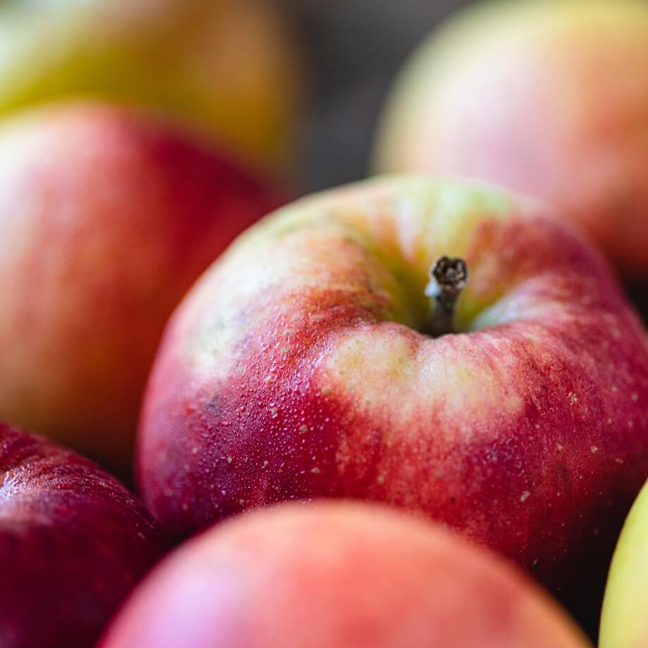 Organic Cox apples 750g / Riverford