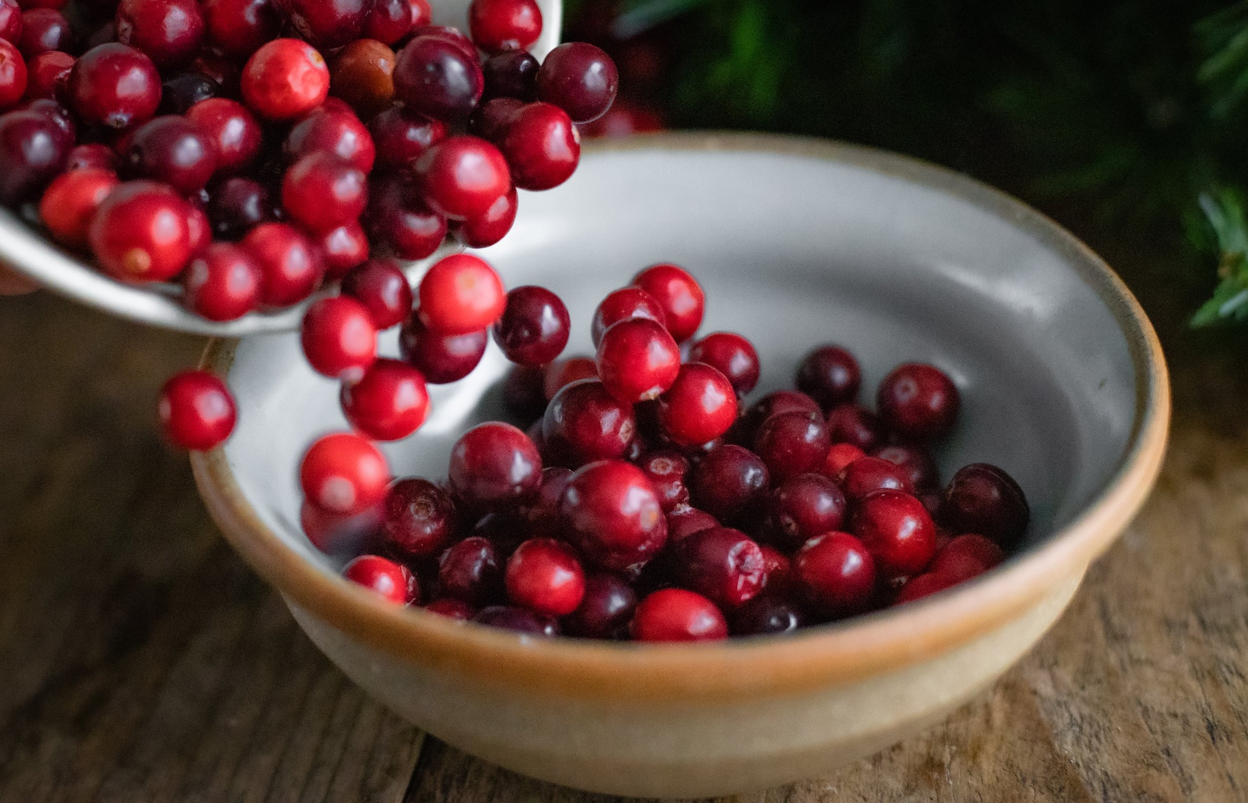 Organic Cranberries 175g / Riverford