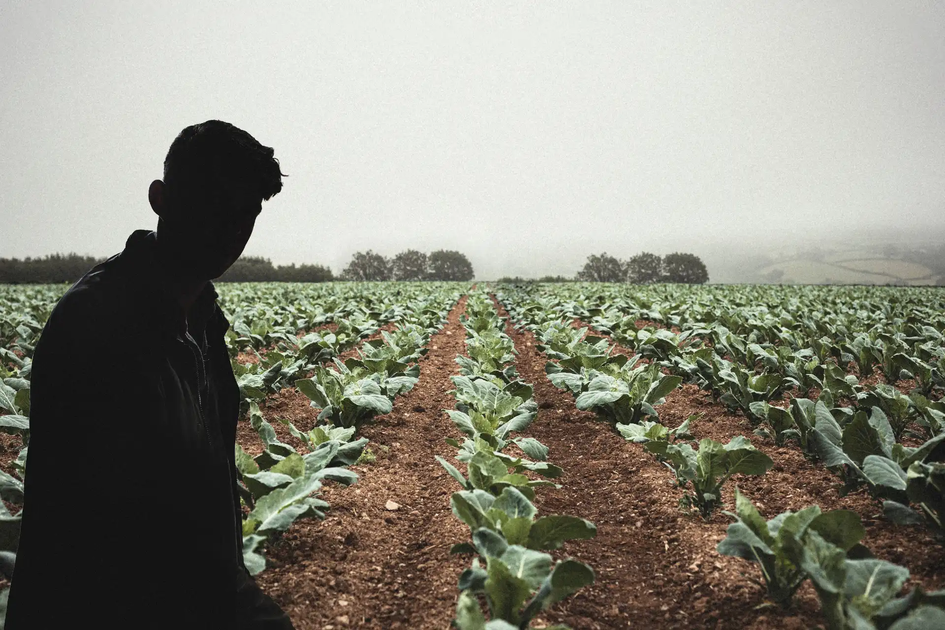 Riverford Organic Farmers - Organic Fruit & Veg Box Delivery