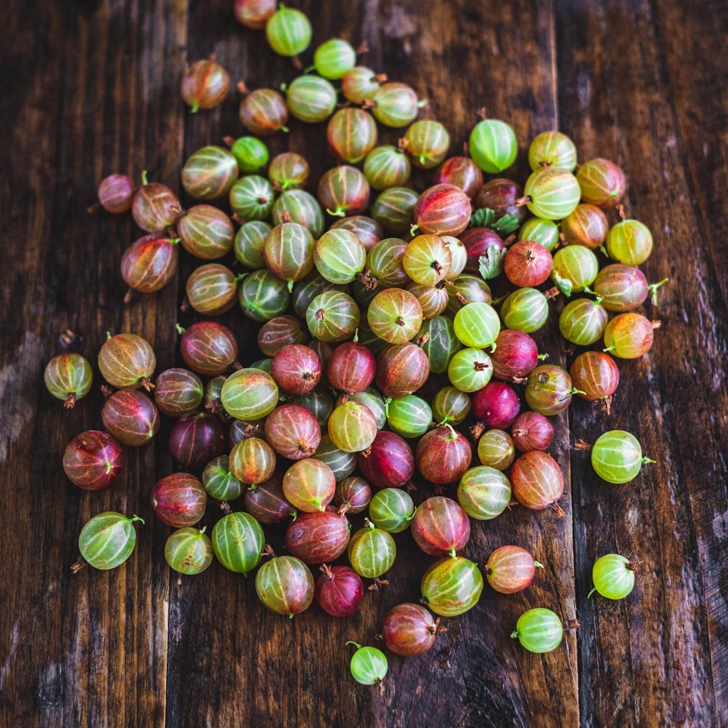 Organic Gooseberries 250g / Riverford