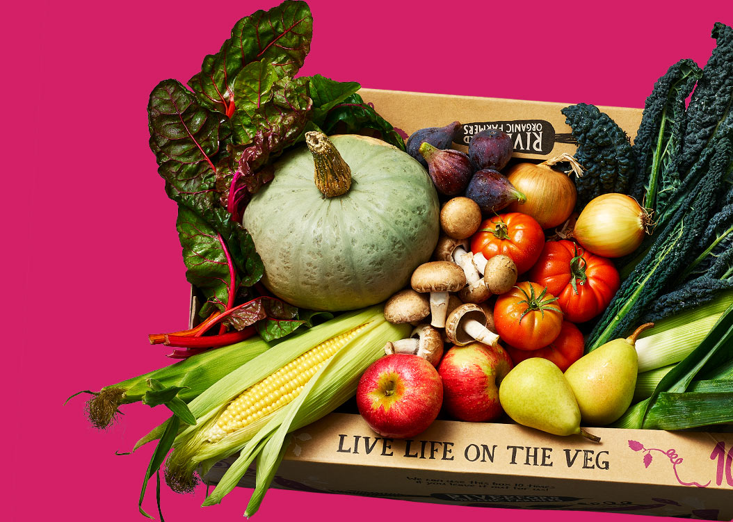 Award winning seasonal veg boxes / Riverford