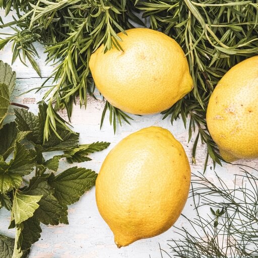 Organic Lemons x4 / Riverford
