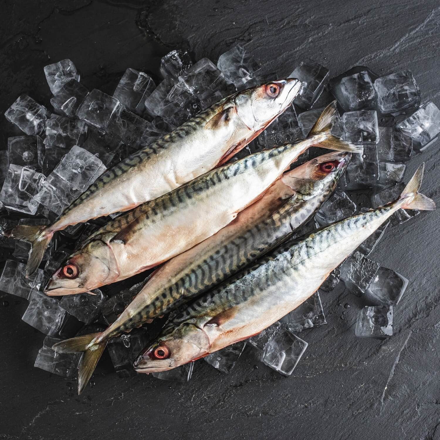 Wild whole mackerel 500g / Riverford