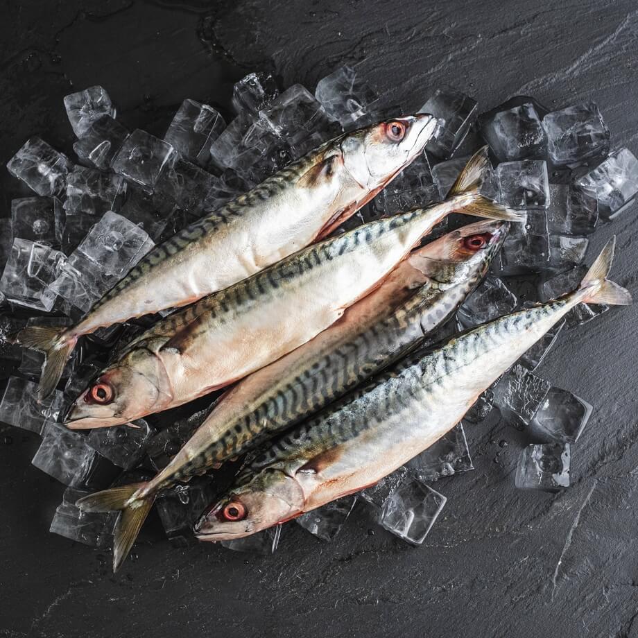 Wild whole mackerel 500g / Riverford