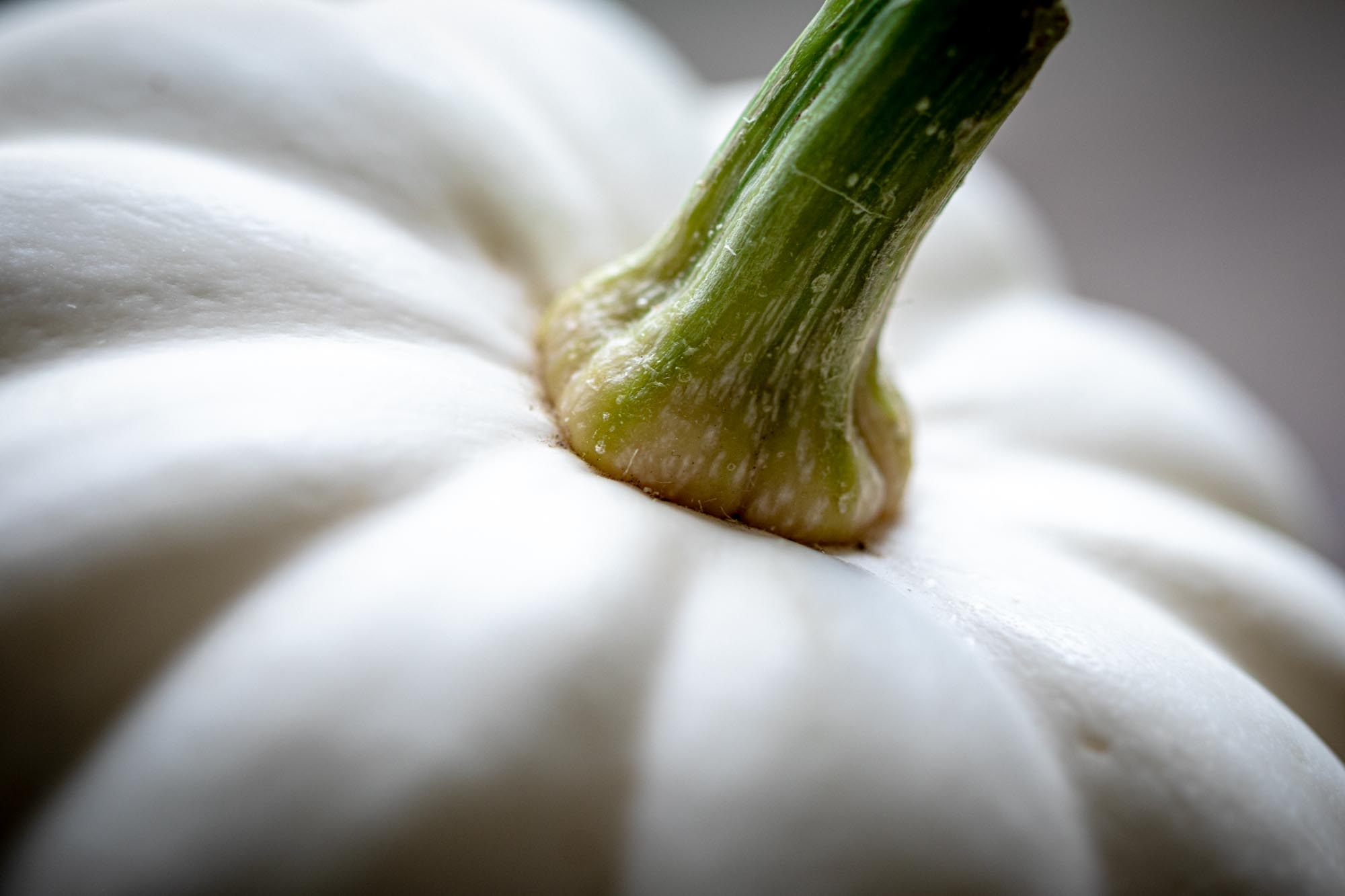 Organic Mashed Potato squash x1 / Riverford