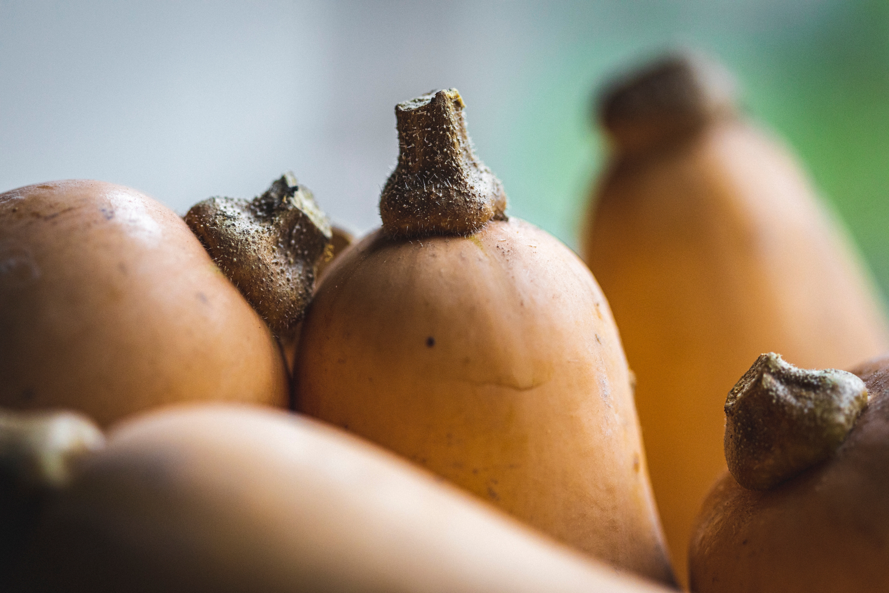 Organic Mini butternut squash x4 / Riverford