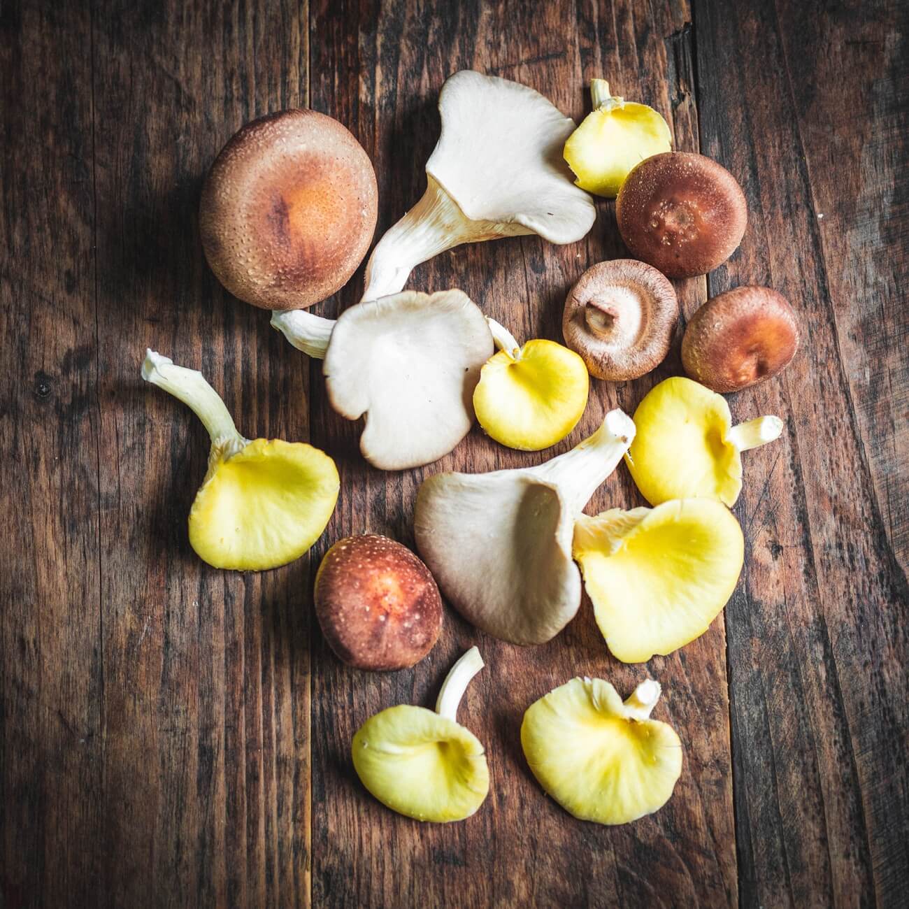 Organic Mixed Mushrooms 150g / Riverford