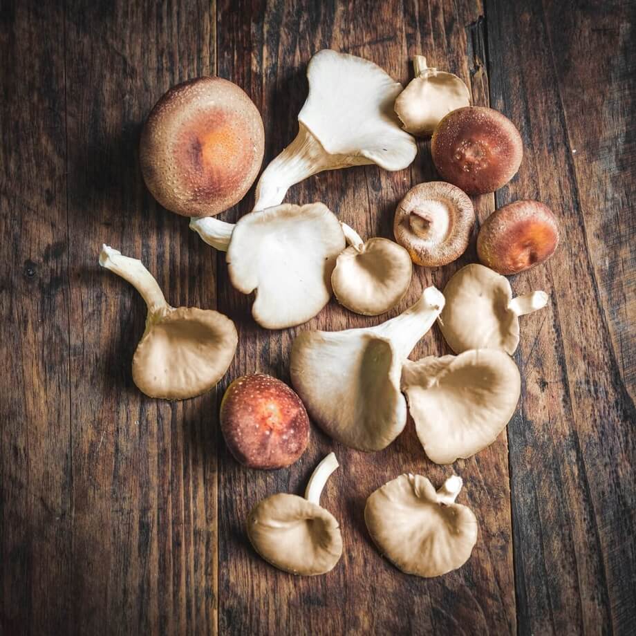 Organic Mixed mushrooms 150g / Riverford