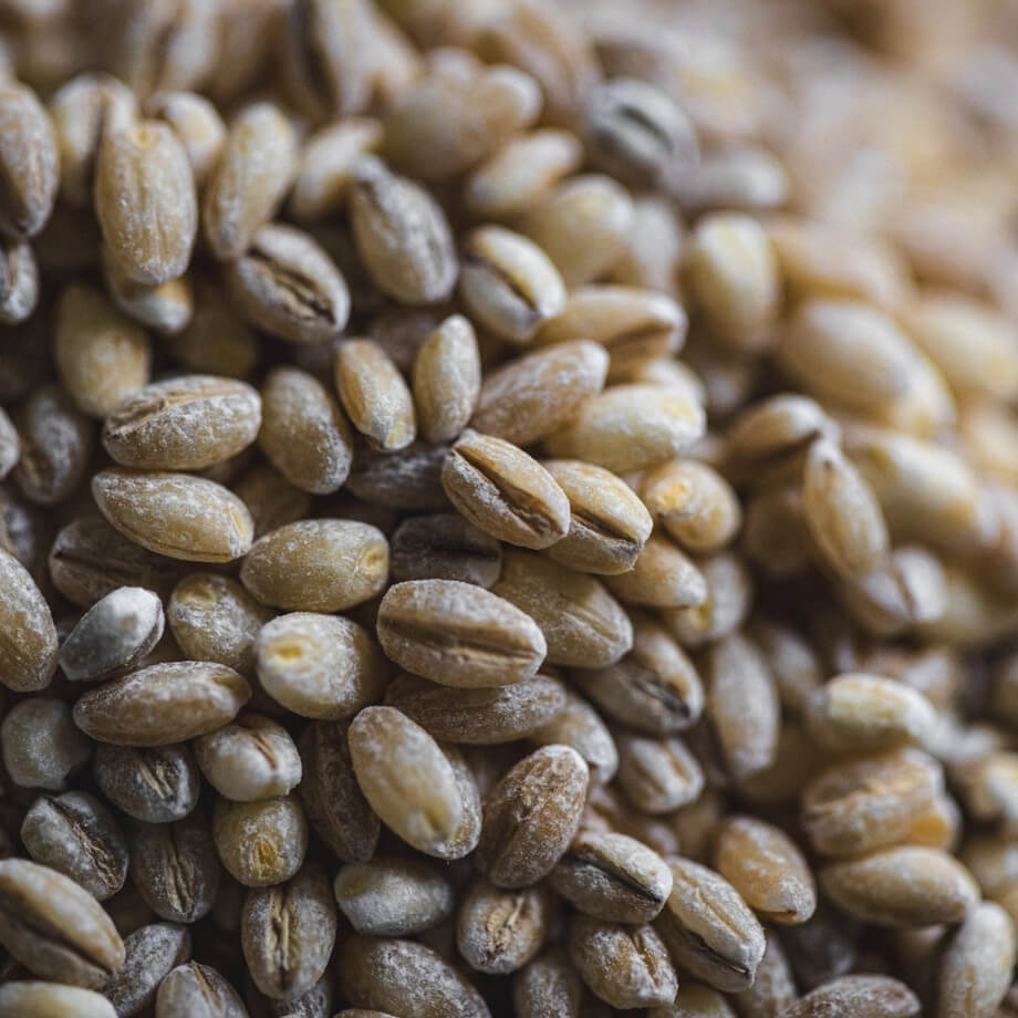 Organic Pearl barley 400g / Riverford