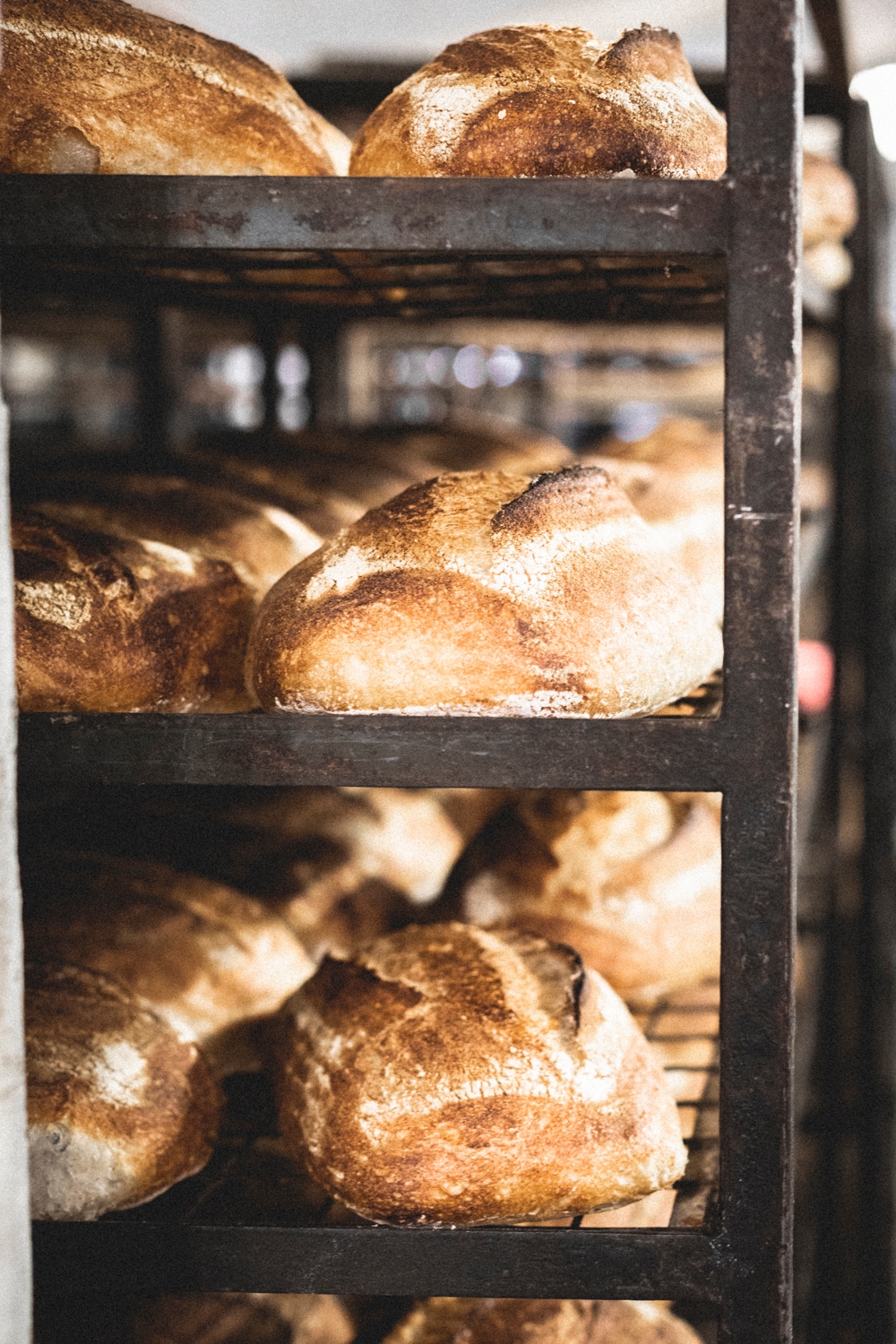 The Authentic Bread Company / Riverford