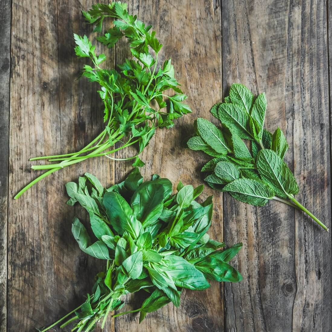 Organic Summer herb selection / Riverford