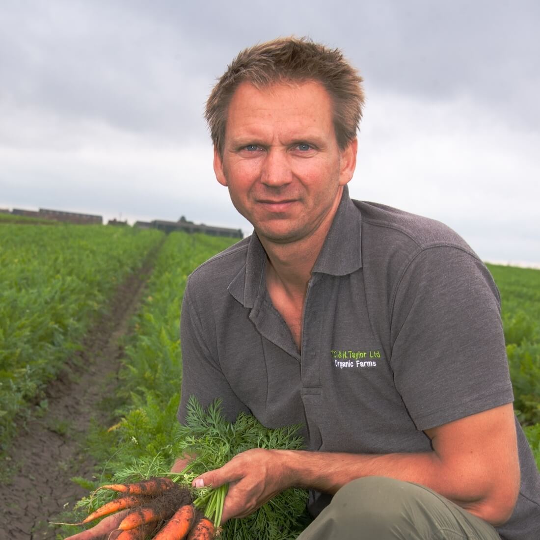 Organic Red onions 500g / Riverford