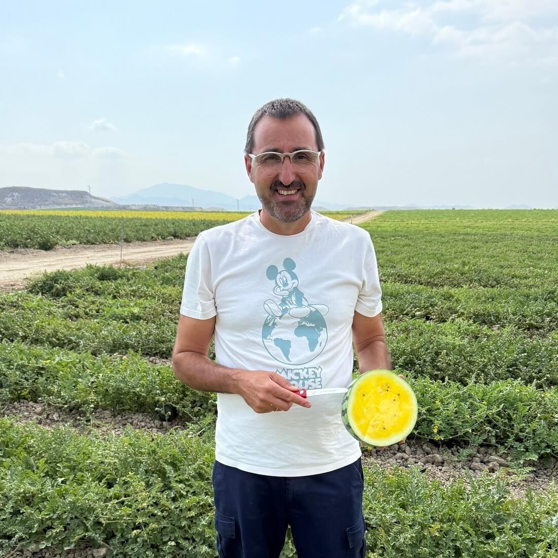 Organic Mini watermelon x1 / Riverford