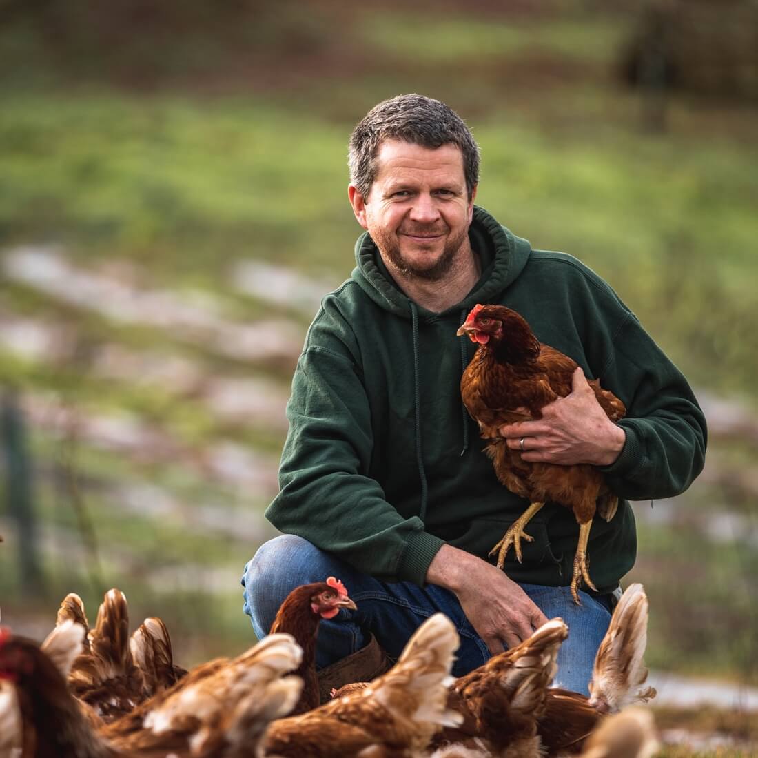 Organic Organic free-range eggs x6 / Riverford
