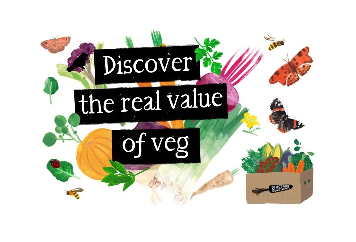 Fruit, veg and salad / Riverford