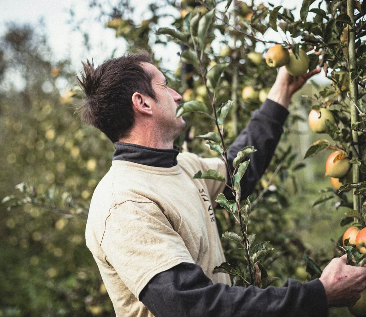 Joe Pardoe / Riverford