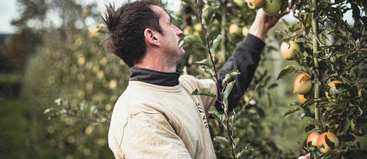 Joe Pardoe / Riverford