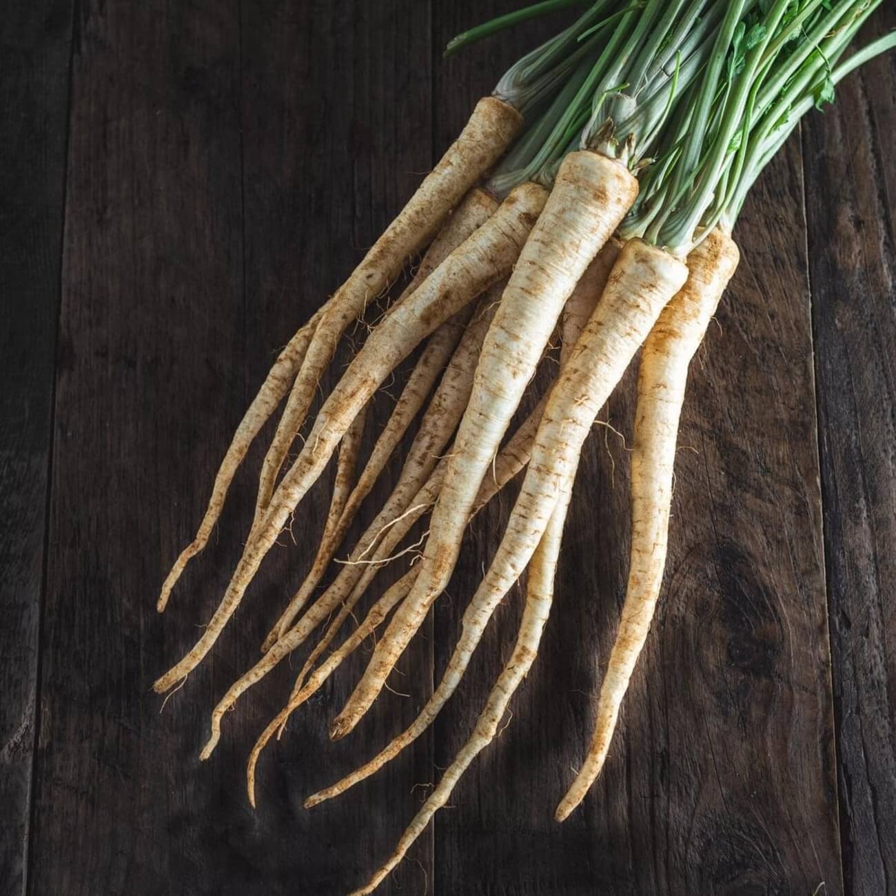 Organic Bunched parsley root x1 / Riverford