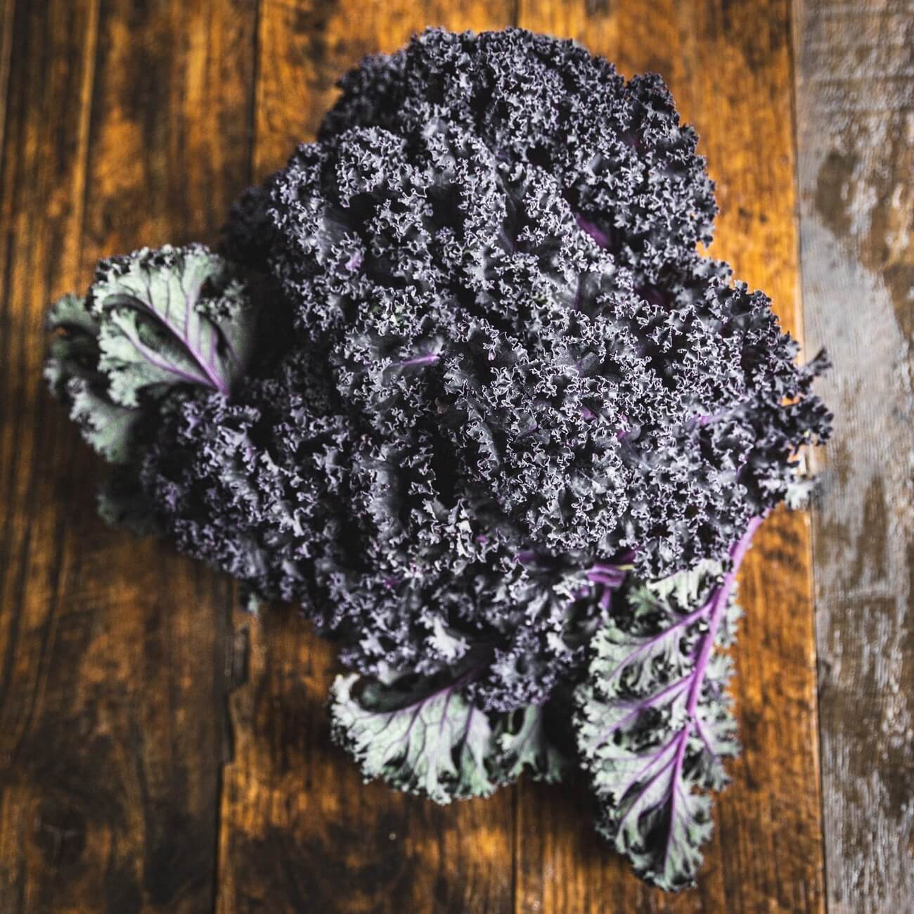 Organic Red curly kale 250g / Riverford