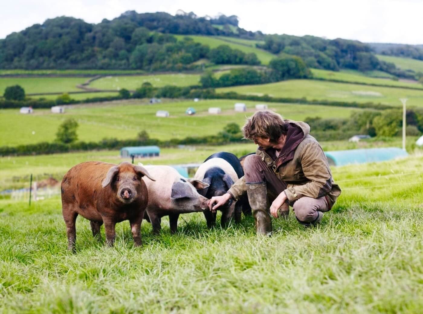 Haye Farm / Riverford